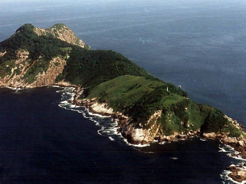Snake Island (7 Crazy Facts About Brazil's Ilha Da Queimada Grande)