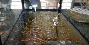 Snake Vivarium: Setting One Up In 11 Easy Steps (With Pictures)