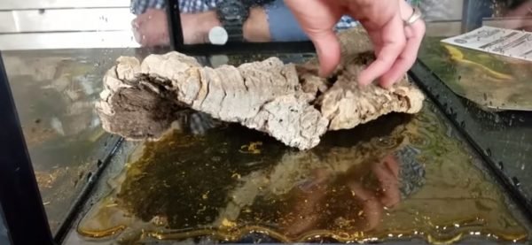 Snake Vivarium: Setting One Up In 11 Easy Steps (With Pictures)