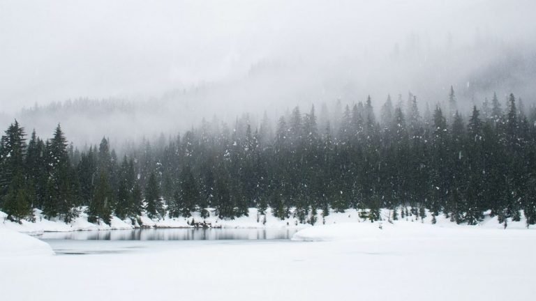 How To Find A Rattlesnake Den (Be Careful: It's Tricky)