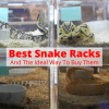 Best Snake Racks (And The Ideal Way To Buy Them) - My Snake Pet