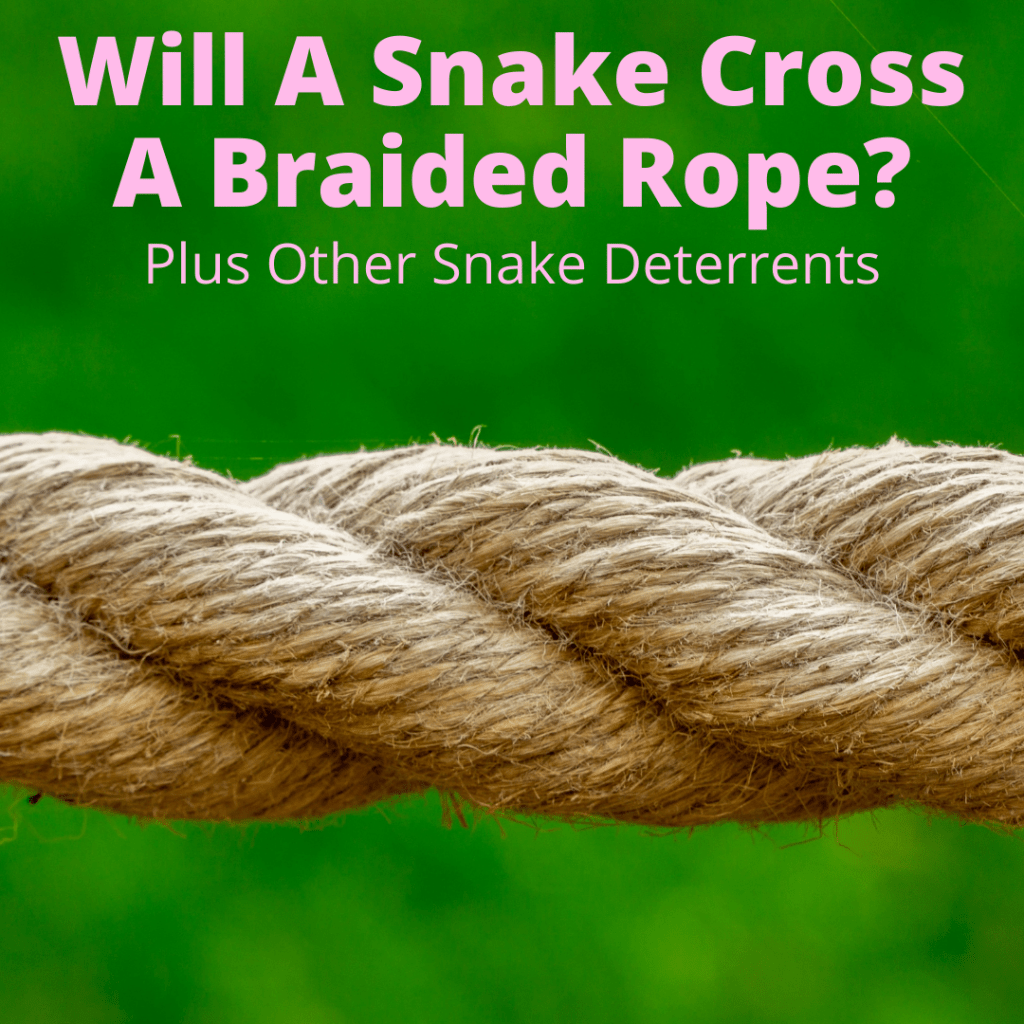 Will A Snake Cross A Braided Rope? (Plus Other Deterrents)