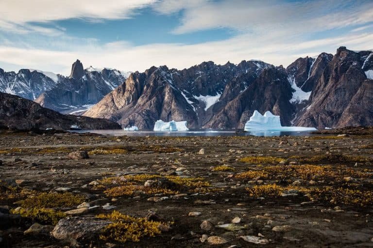Places Where There Are No Snakes (Some Are Surprising)