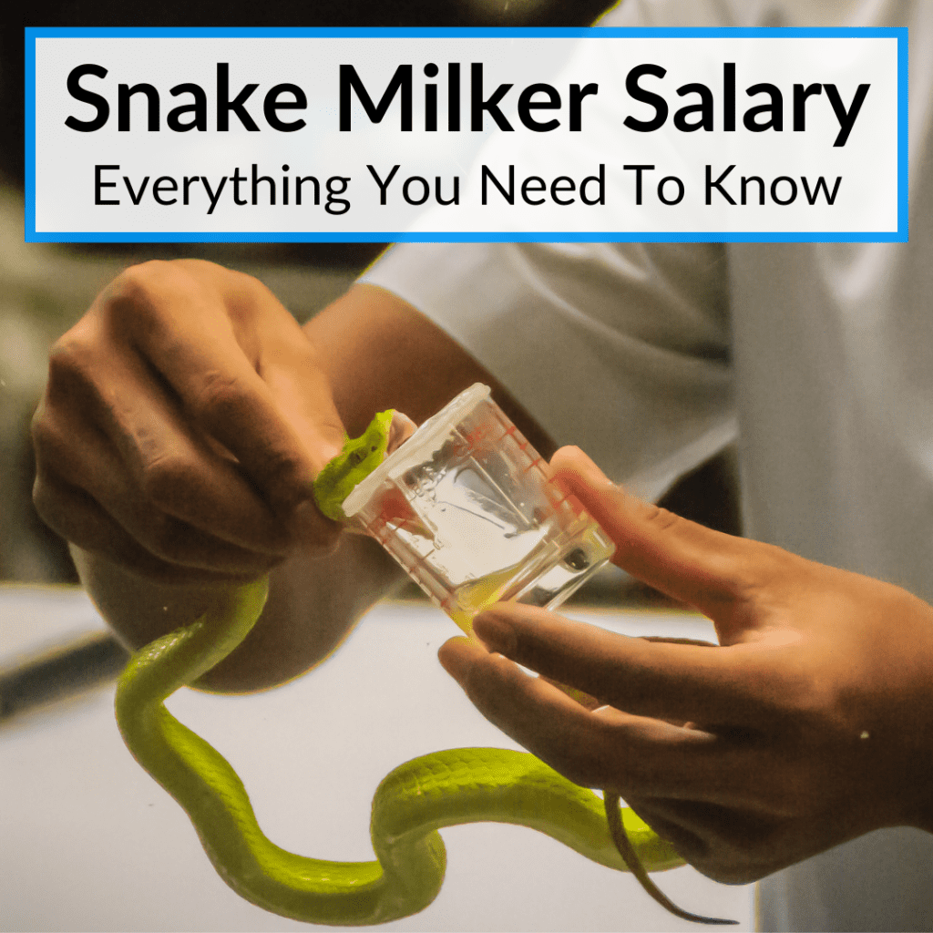 Snake Milker Salary (Everything You Need To Know)
