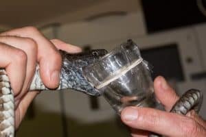 Snake Milker Salary (Everything You Need To Know)